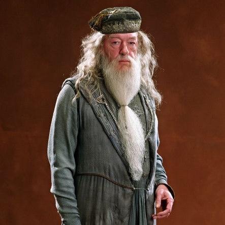 Harry Potter Dumbledore Professeur Albus Dumbledore Perruque +Barbe ...